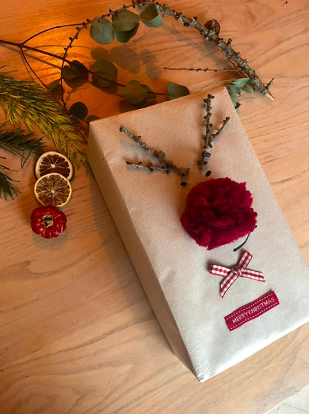 Rudolph Gift Wrap – Toastie